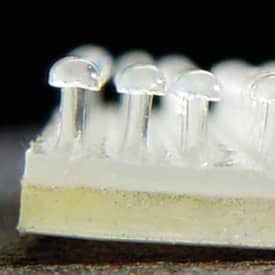 3M 6463 | Fisheries Supply