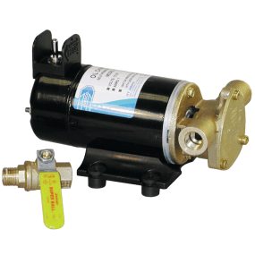 Boat Oil Change Pumps & Marine Oil Extractors | Fisheries Supply