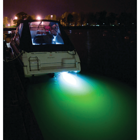 Dr. LED Neptune Underwater LED Lights X6 | Fisheries Supply