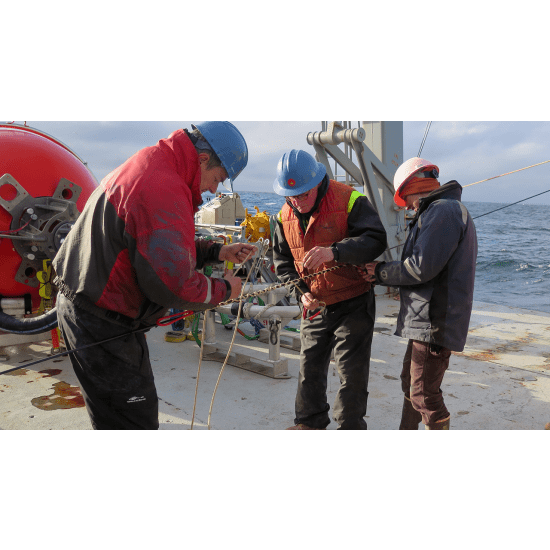 Four-Leg YaleGrips - Rope and Cable Gripping Device