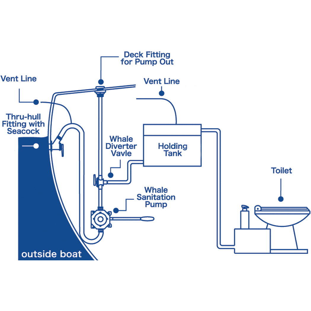 Whale BP0527 | Fisheries Supply