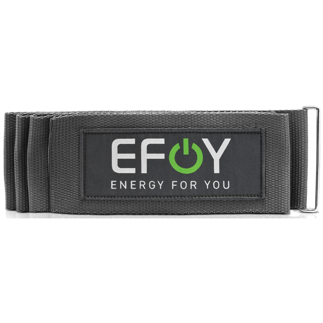 EFOY Fuel Cell Generator Systems | Fisheries Supply